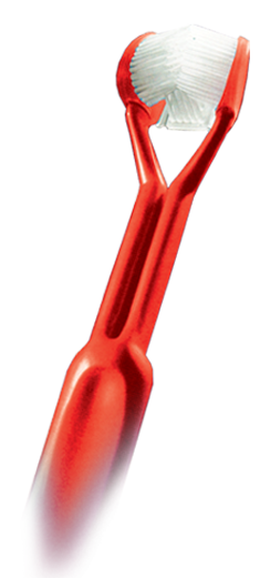 Autisticare – Serving Special Needs